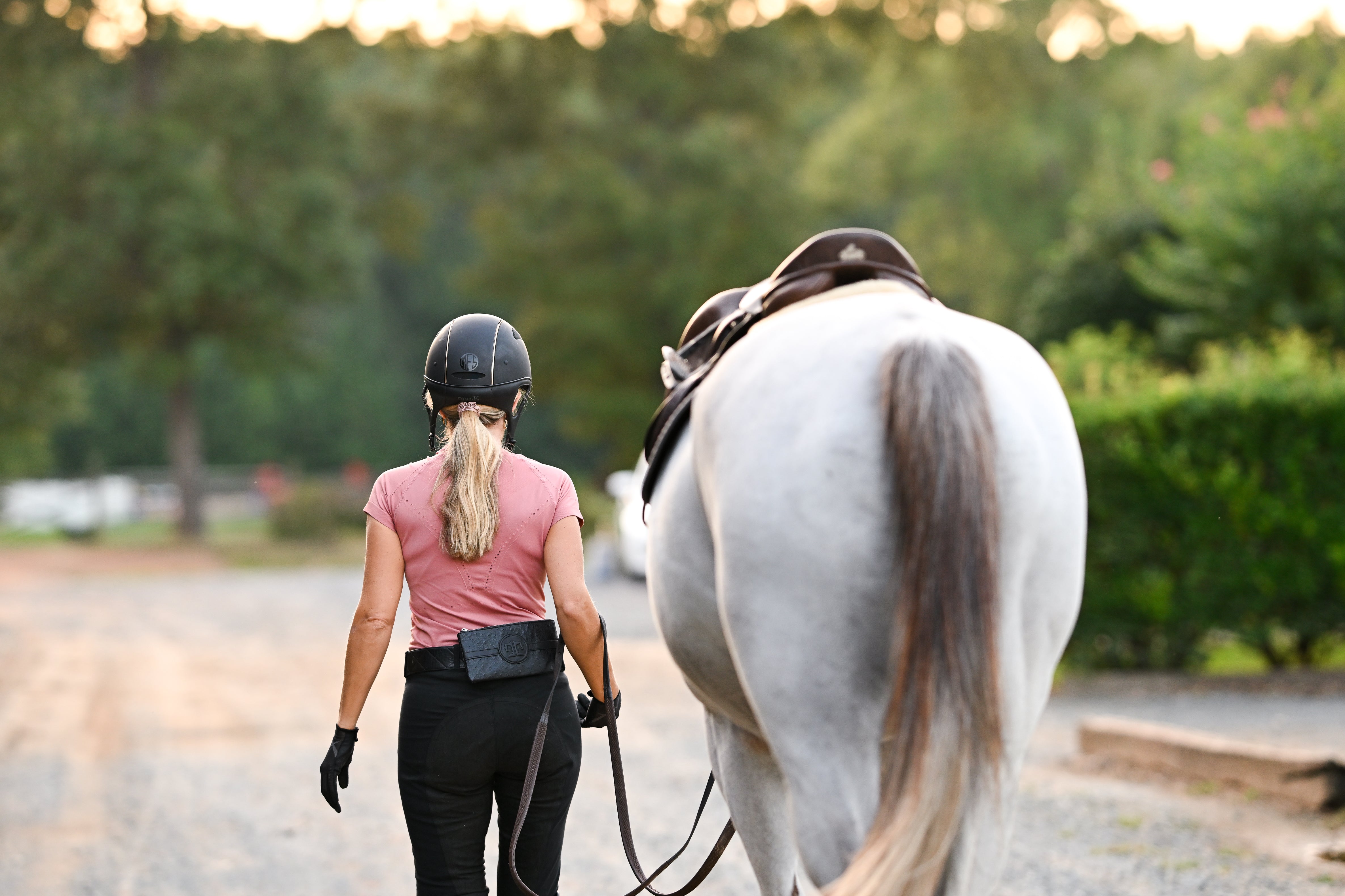 Collections – Tucker Tweed Equestrian